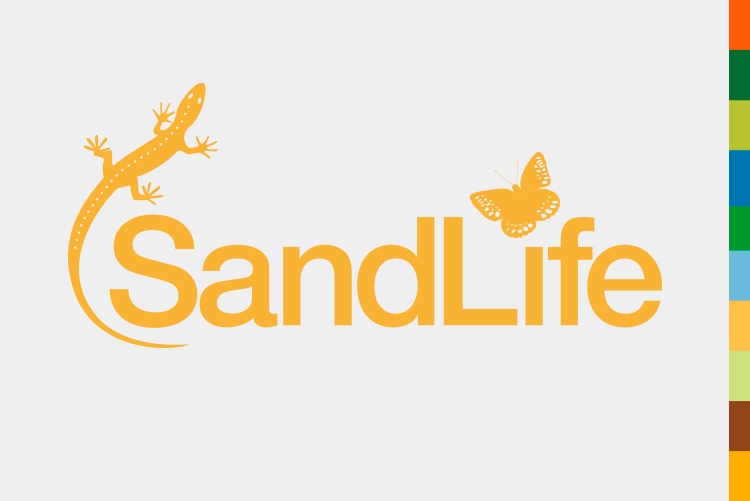 Sand Life – om de viktiga sandmarkerna - Rakt